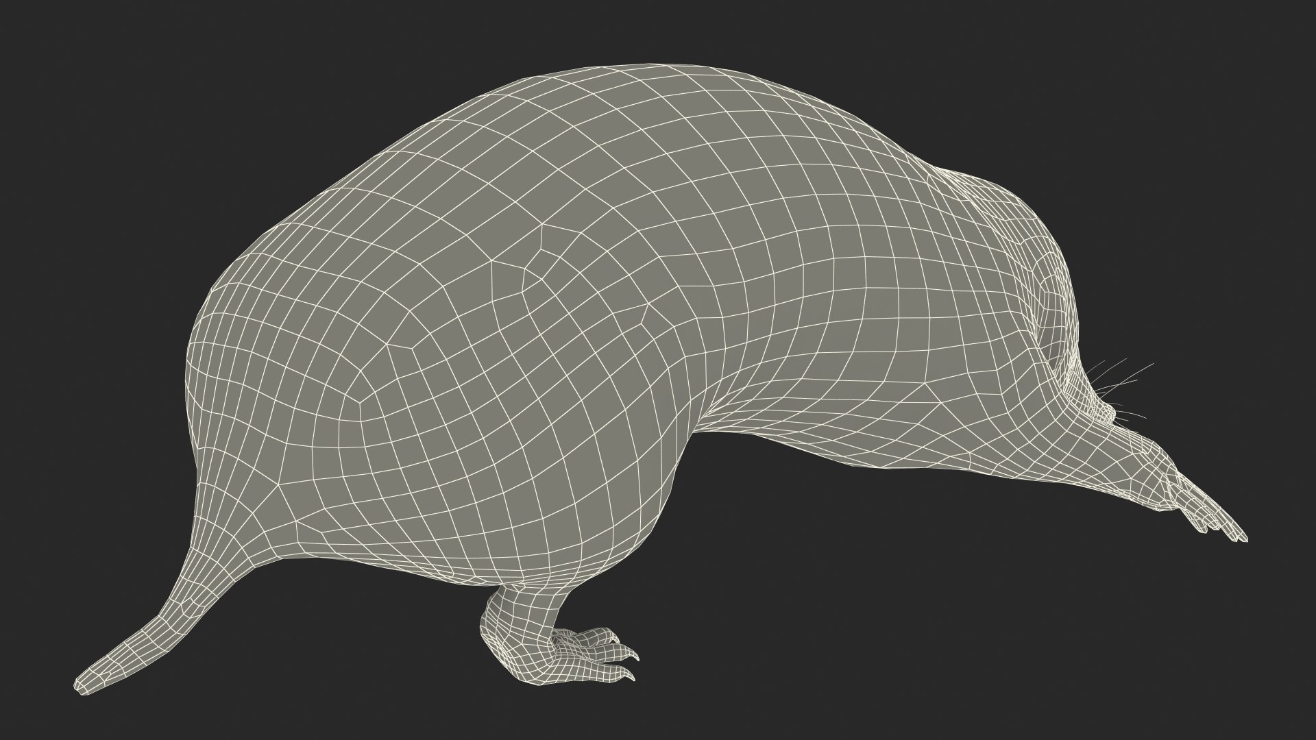 3D Model Realistic Mole Animal Fur - TurboSquid 2220594