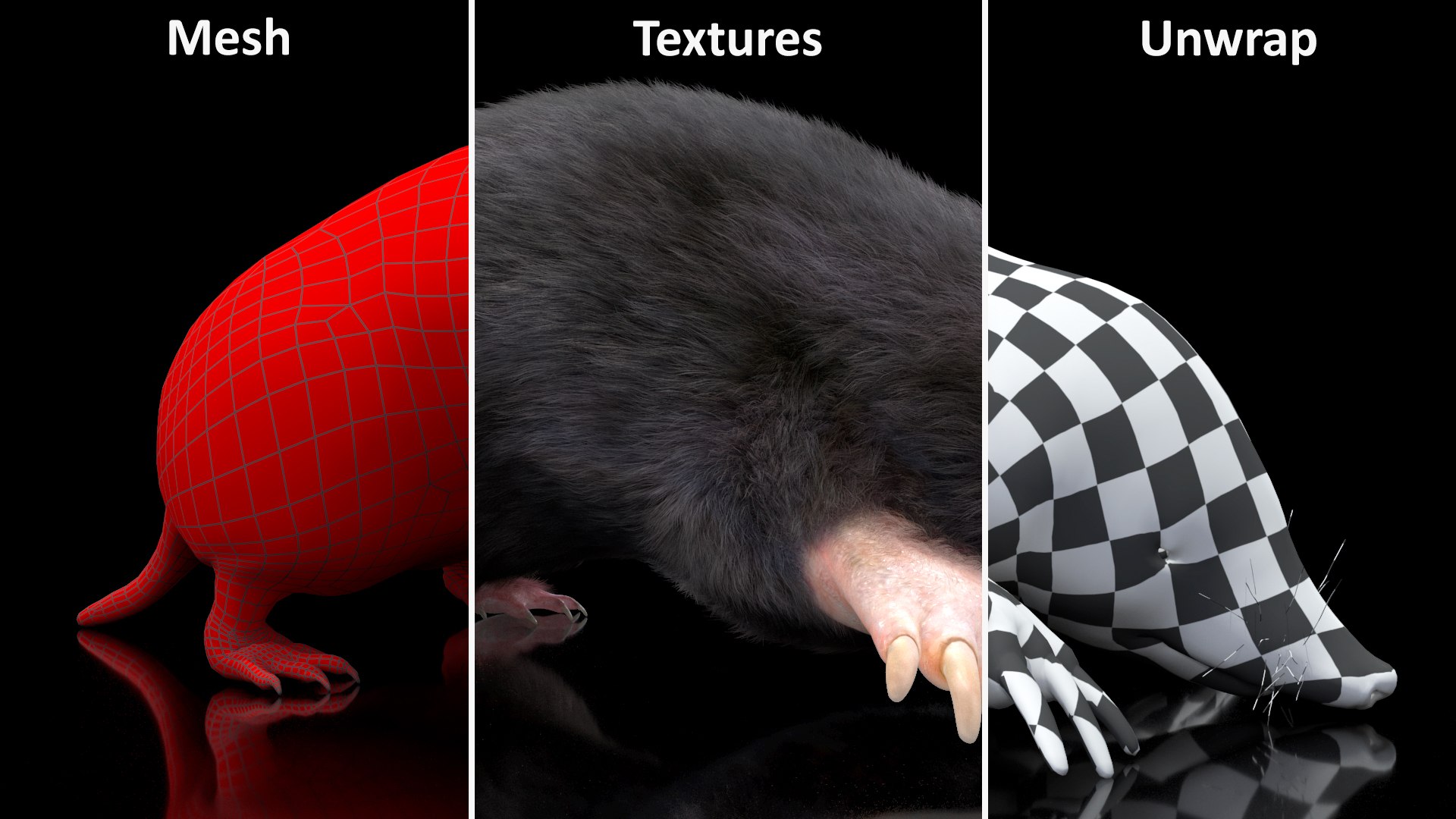 3D Model Realistic Mole Animal Fur - TurboSquid 2220594