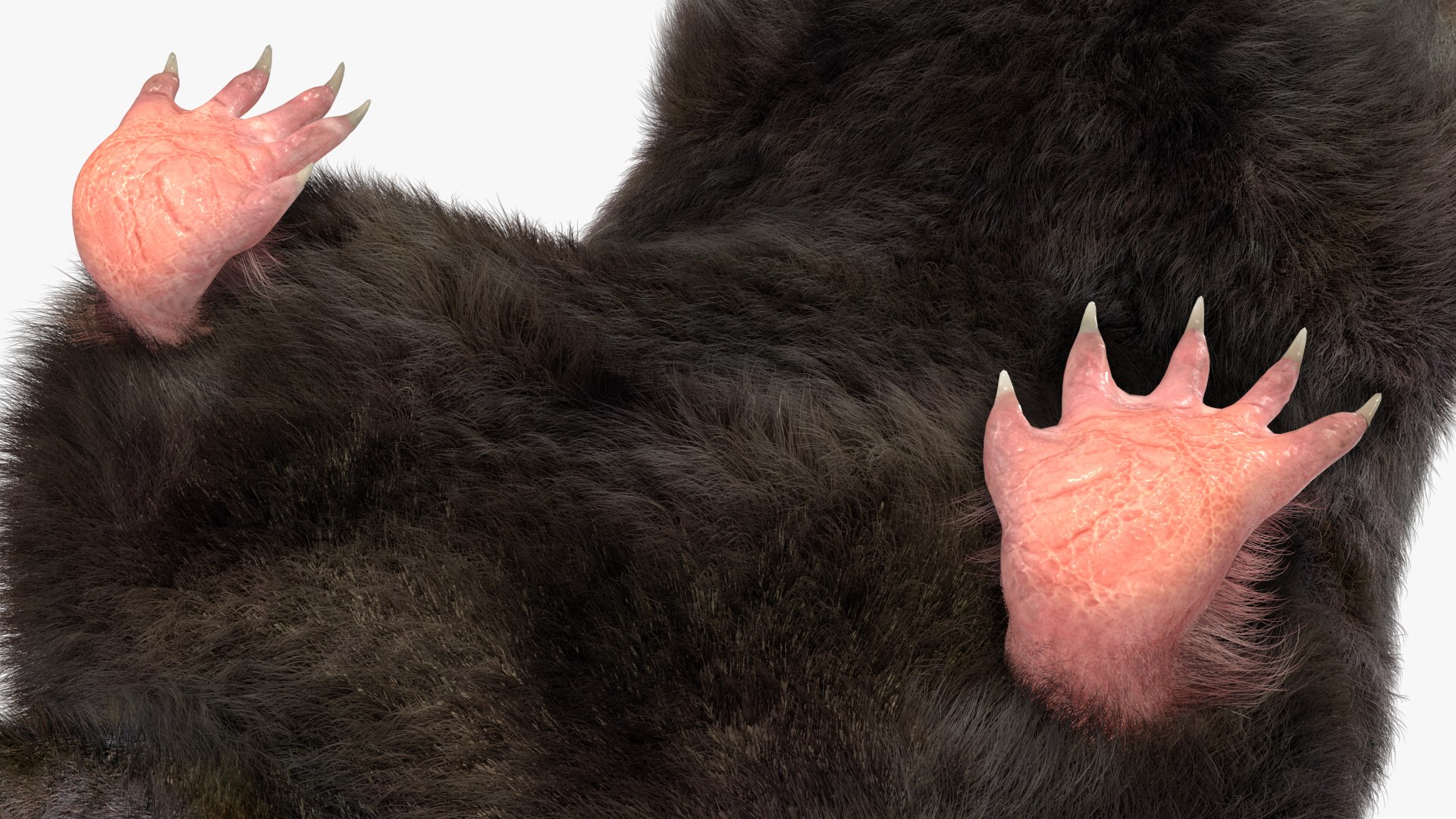 3D Model Realistic Mole Animal Fur - TurboSquid 2220594
