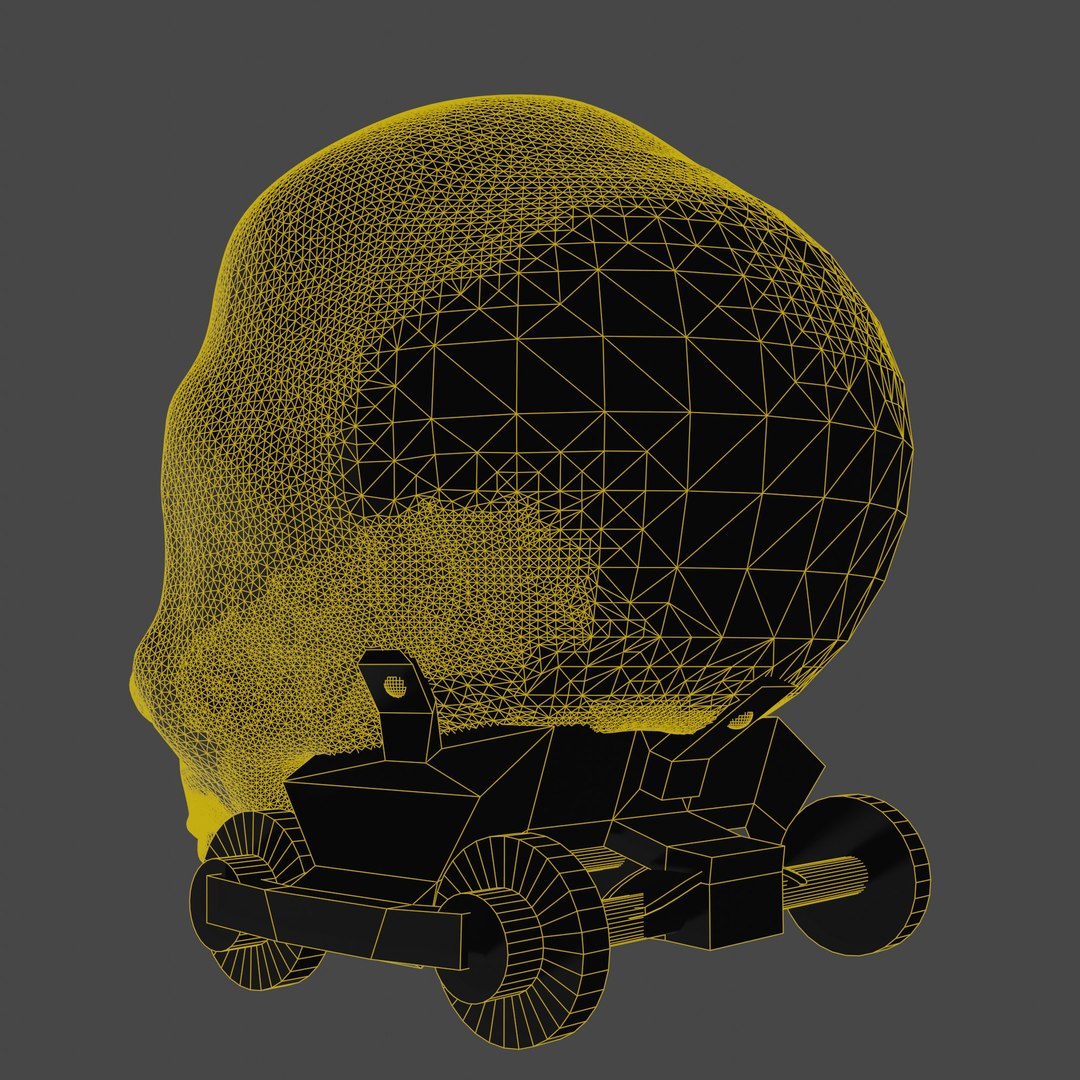 3D Skull On A Carriage With Wheelsets Model - TurboSquid 2212647