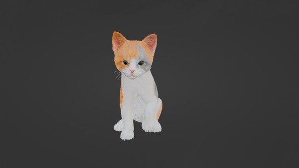 Kitten 3D model - TurboSquid 1862957