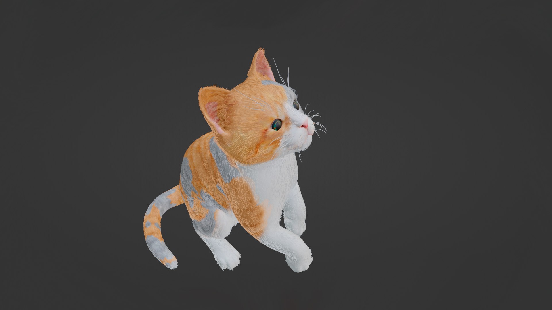 Kitten 3D model - TurboSquid 1862957
