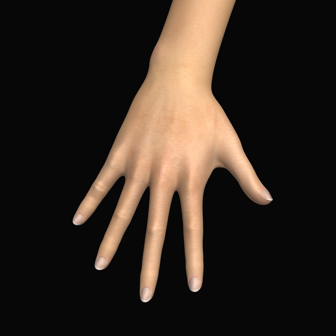 3d Model Body Hand
