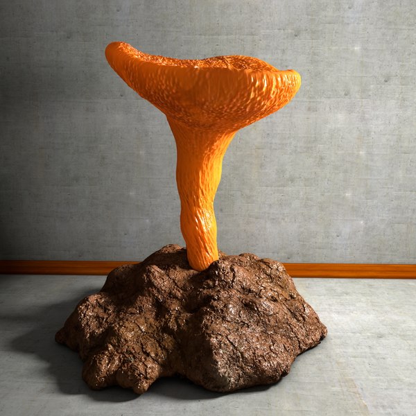 mushroom 3d model