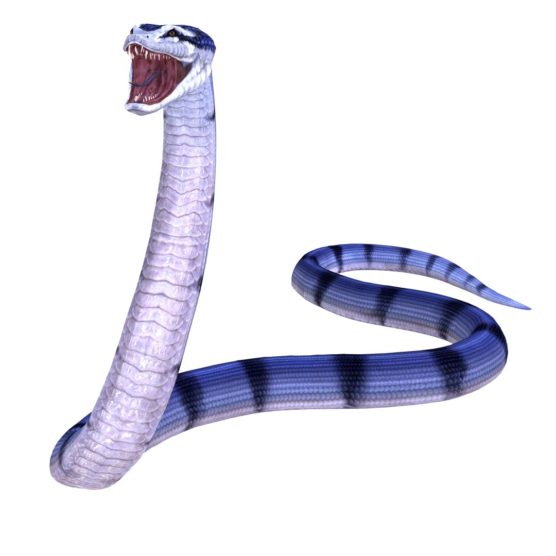 3D ANACONDA BLUE - TurboSquid 2092315