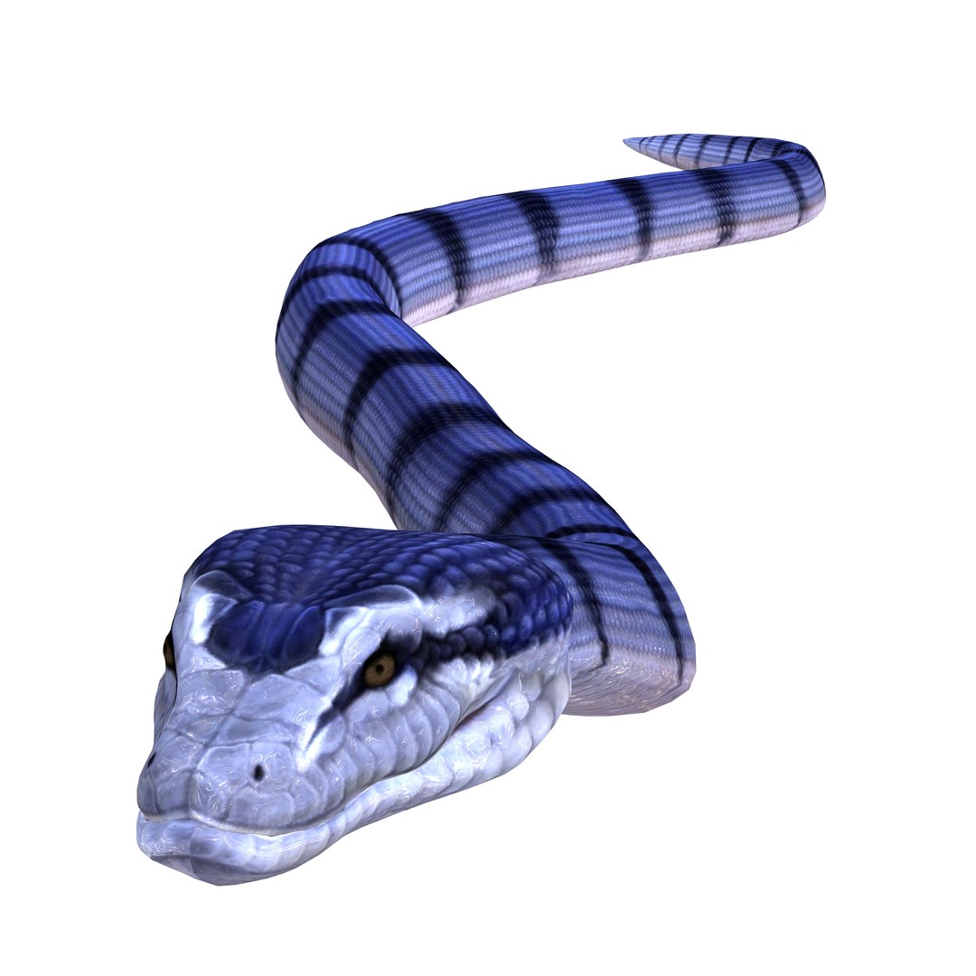 3D ANACONDA BLUE - TurboSquid 2092315