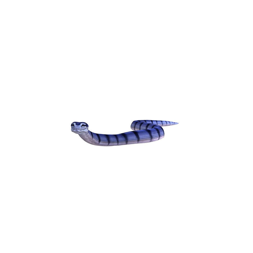 3D ANACONDA BLUE - TurboSquid 2092315