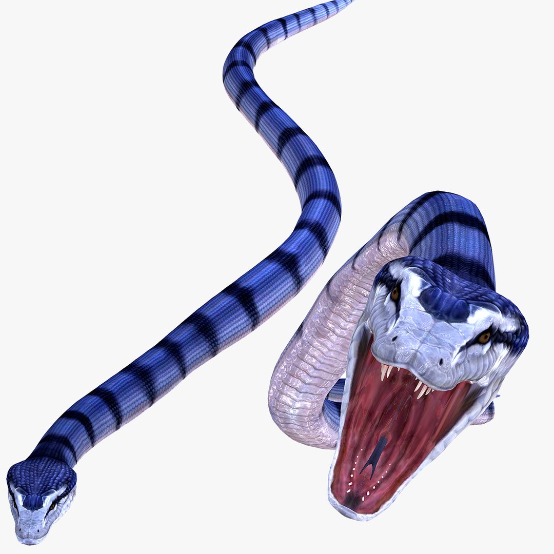 3D ANACONDA BLUE - TurboSquid 2092315