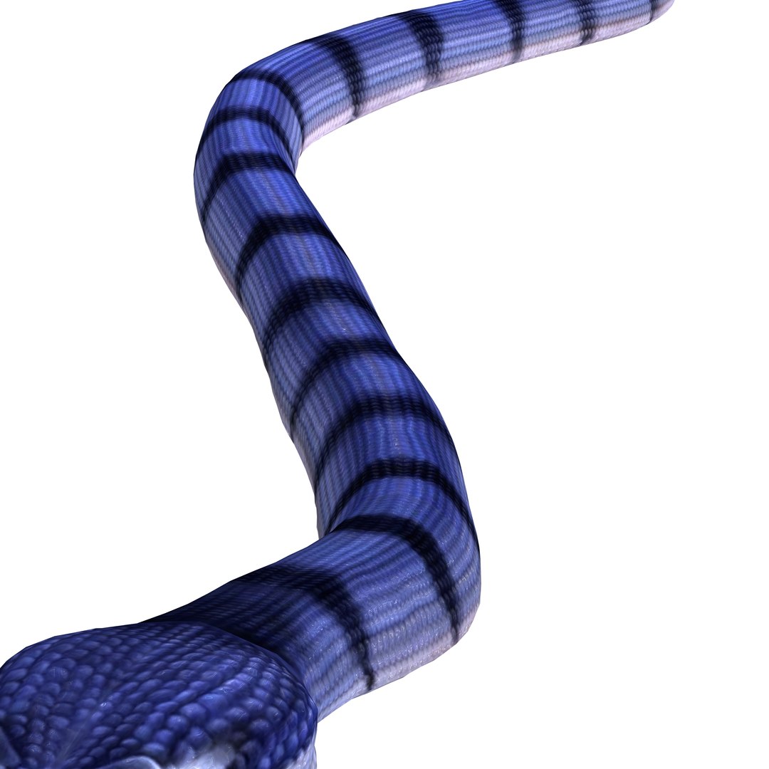 3D ANACONDA BLUE - TurboSquid 2092315