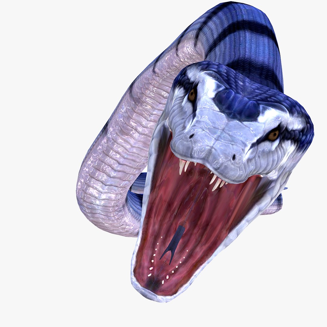 3D ANACONDA BLUE - TurboSquid 2092315
