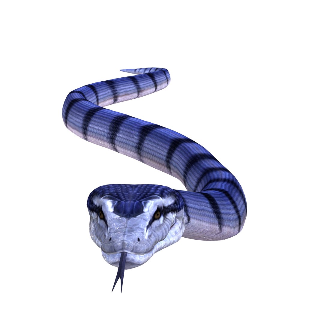 3D ANACONDA BLUE - TurboSquid 2092315