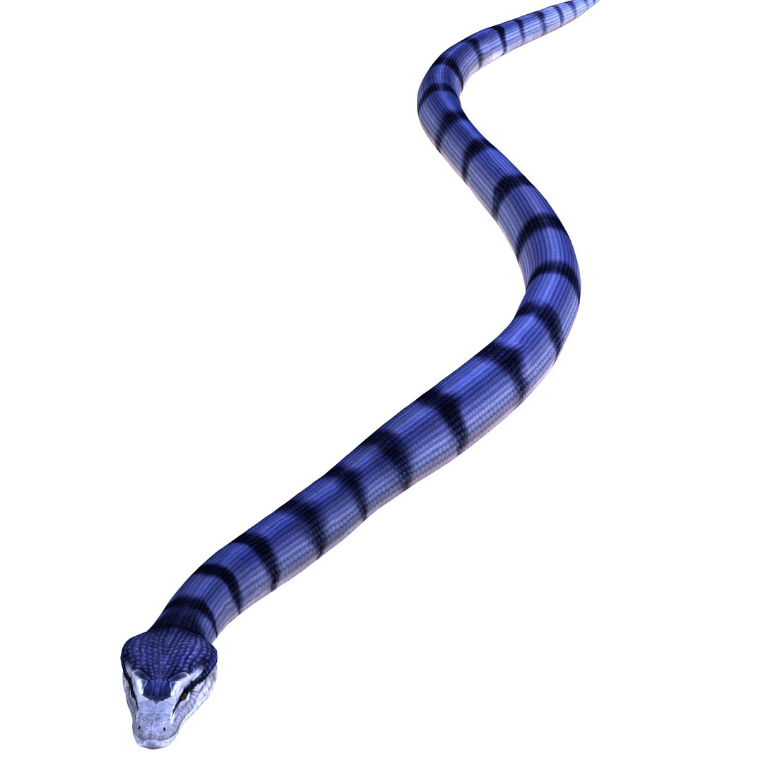 3D ANACONDA BLUE - TurboSquid 2092315