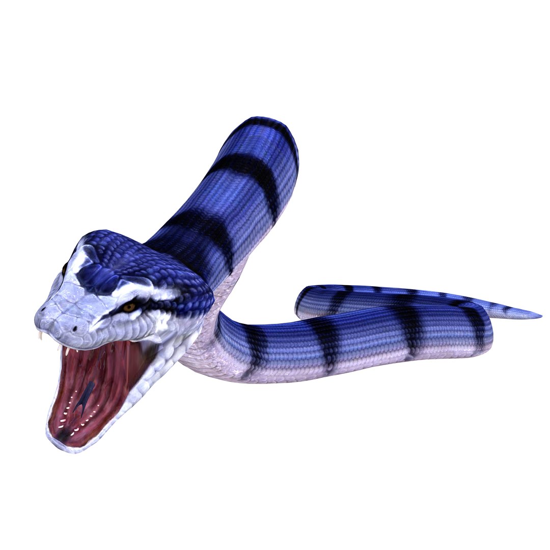 3D ANACONDA BLUE - TurboSquid 2092315