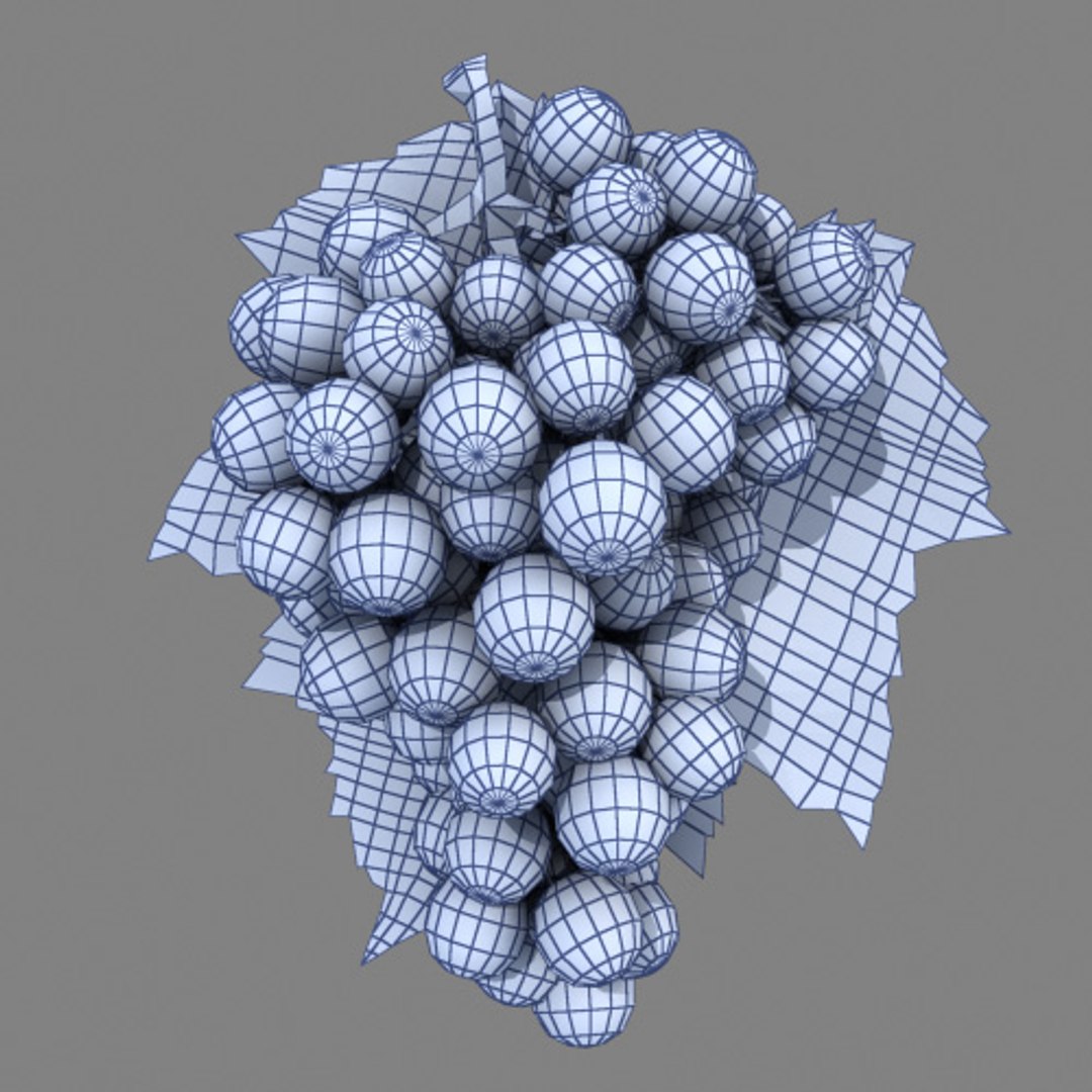 Grape Fruit 3d Model
