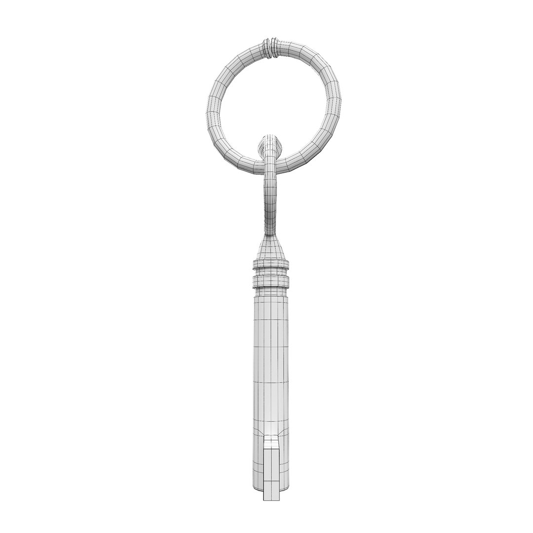 3D Skeleton Key 3d Model - TurboSquid 1976730