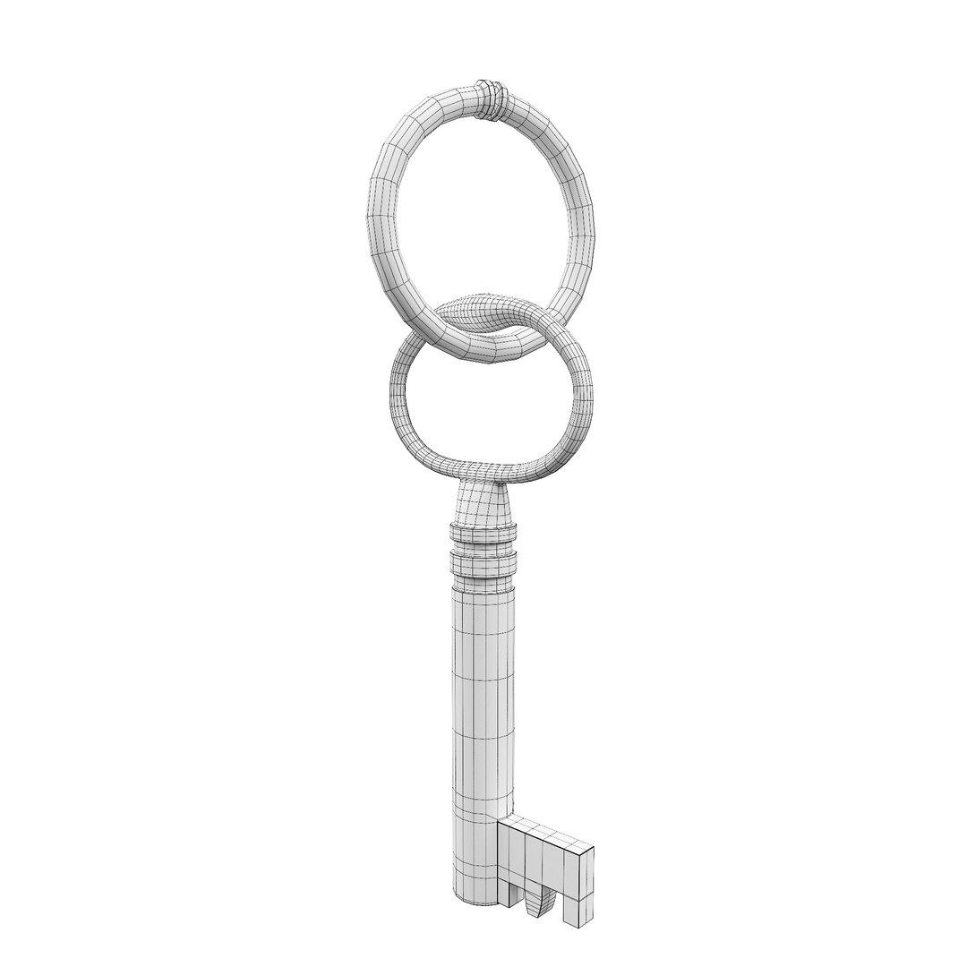 3D Skeleton Key 3d Model - TurboSquid 1976730