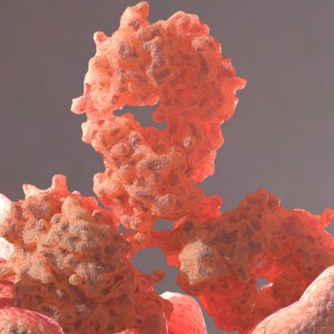 Antibodies Attack Sars Bacteria Cell 3d Model