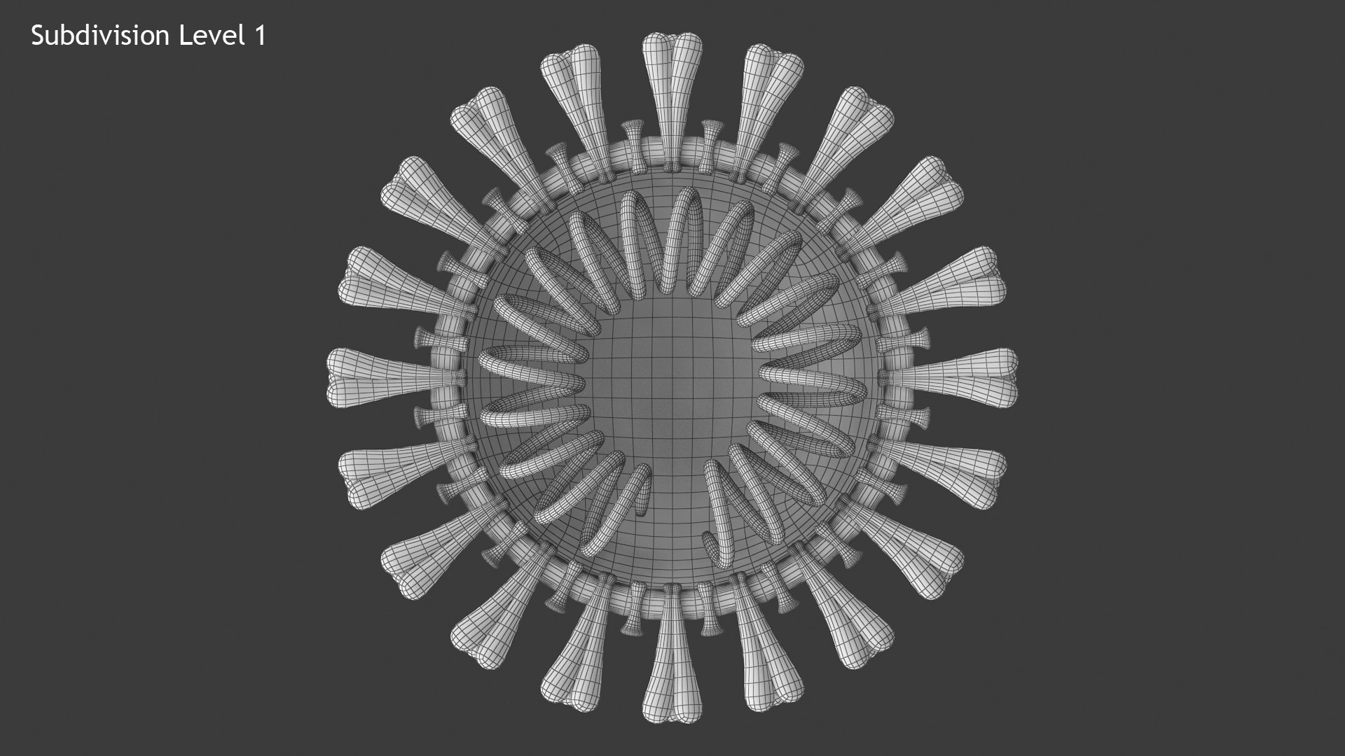 3D coronavirus v3 cross section - TurboSquid 1530646