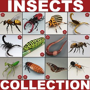 Invertebrate 3D Models for Download | TurboSquid