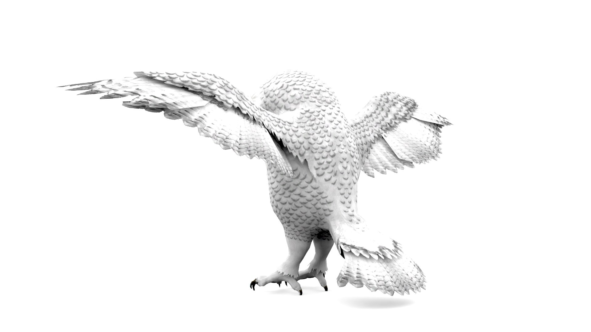 3D White Owl Animated model - TurboSquid 2117786