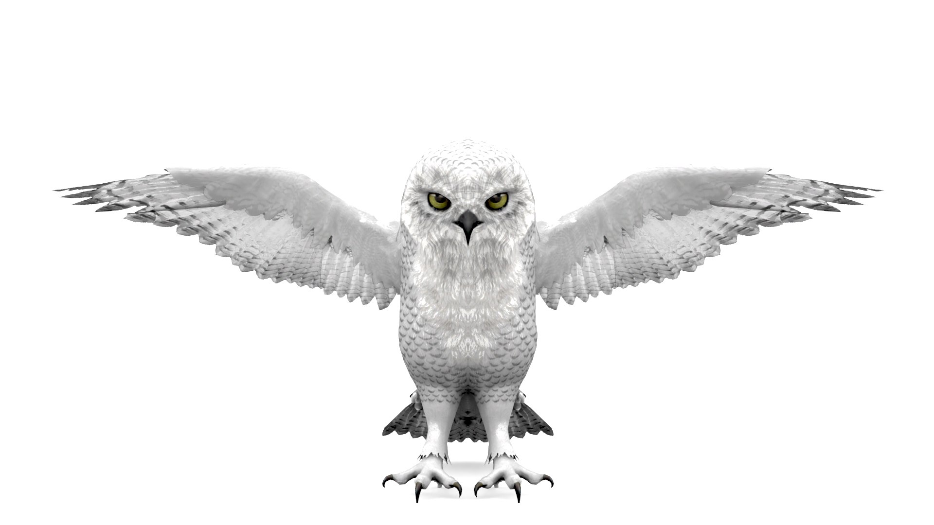 3D White Owl Animated model - TurboSquid 2117786