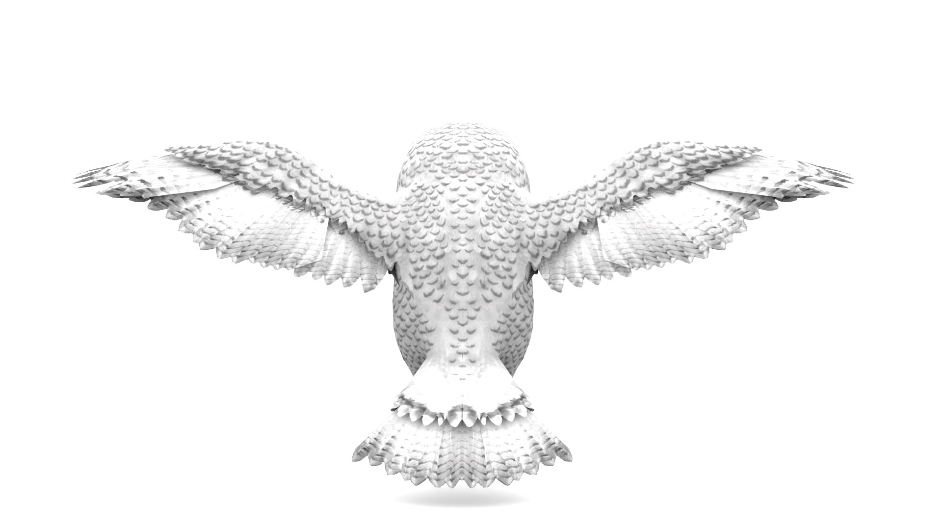3D White Owl Animated model - TurboSquid 2117786