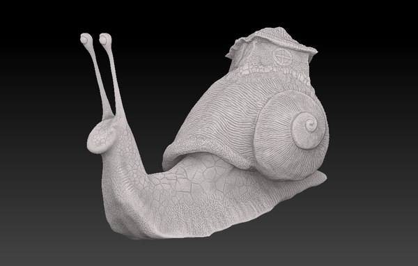 3D Cochlea Models | TurboSquid