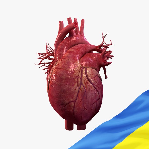 Animated Human Heart 3D Models for Download | TurboSquid