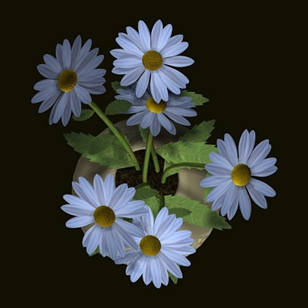 3ds max daisys oxeye