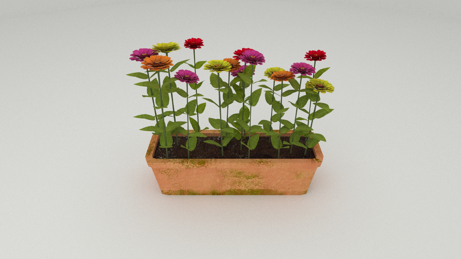 Zinnia Flowers 3D - TurboSquid 2197941