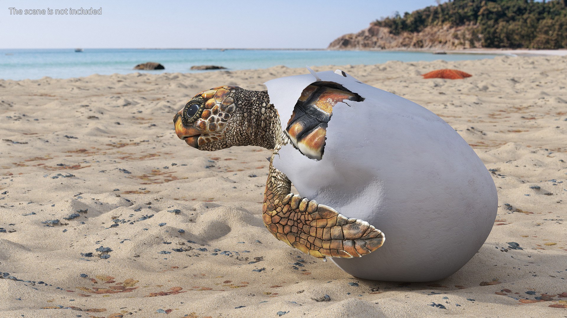 3D Brown Sea Turtle Hatching From The Egg - TurboSquid 2201994