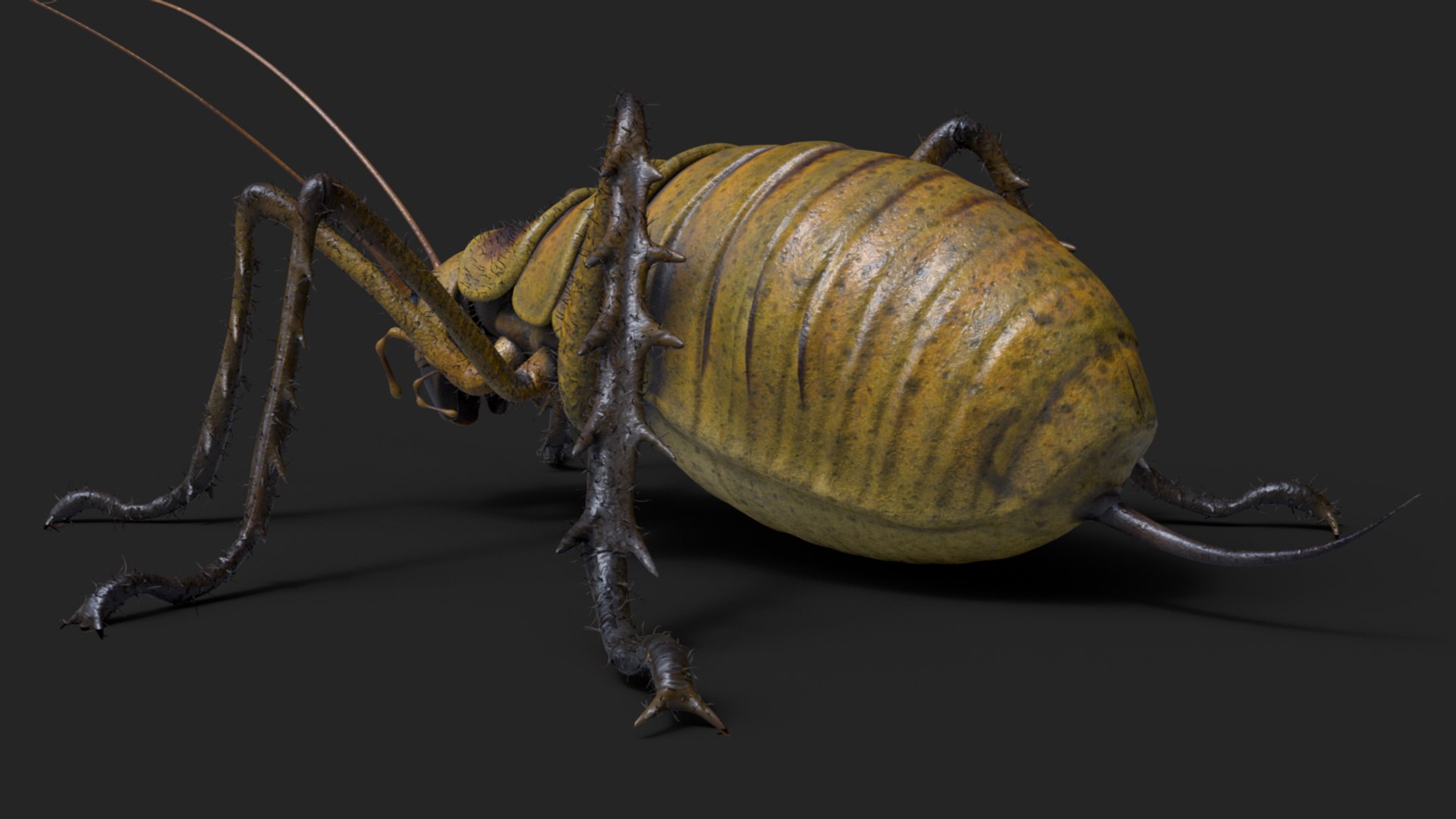 Wetapunga giant weta cricket 3D model - TurboSquid 1270188