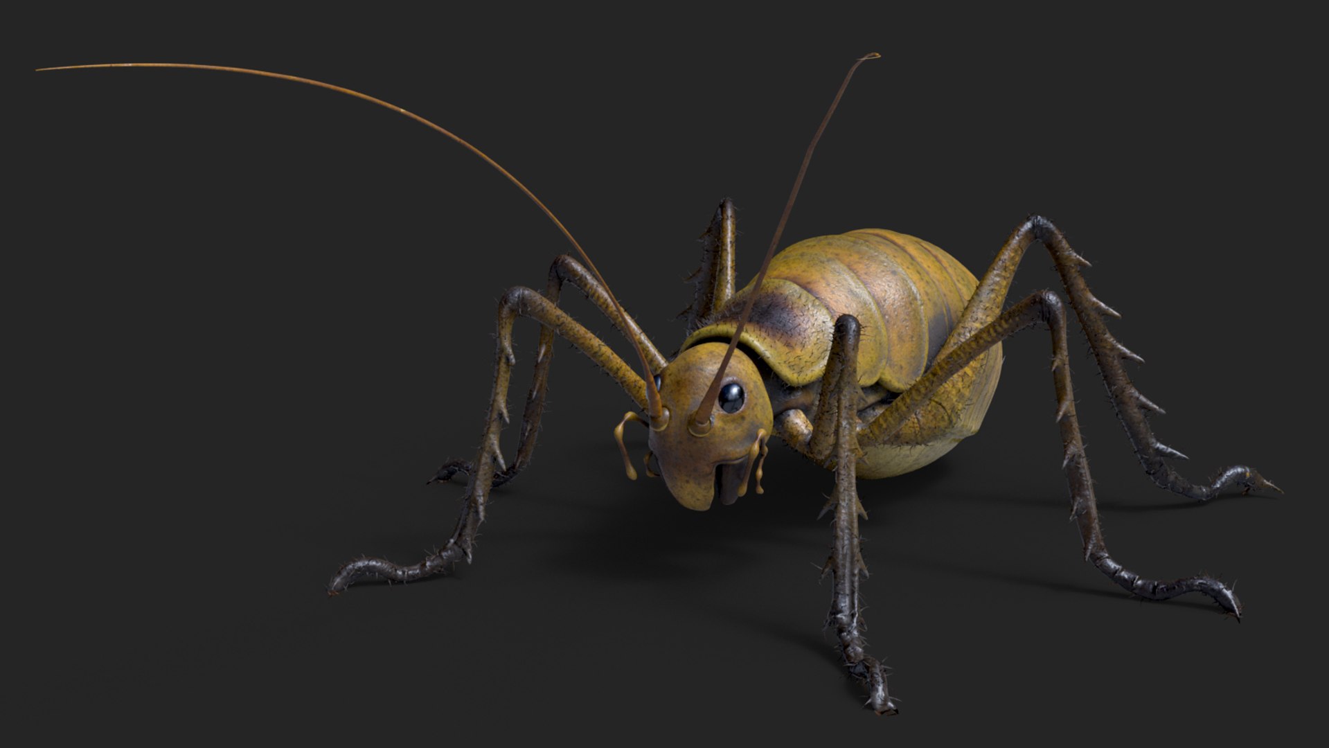 Wetapunga giant weta cricket 3D model - TurboSquid 1270188