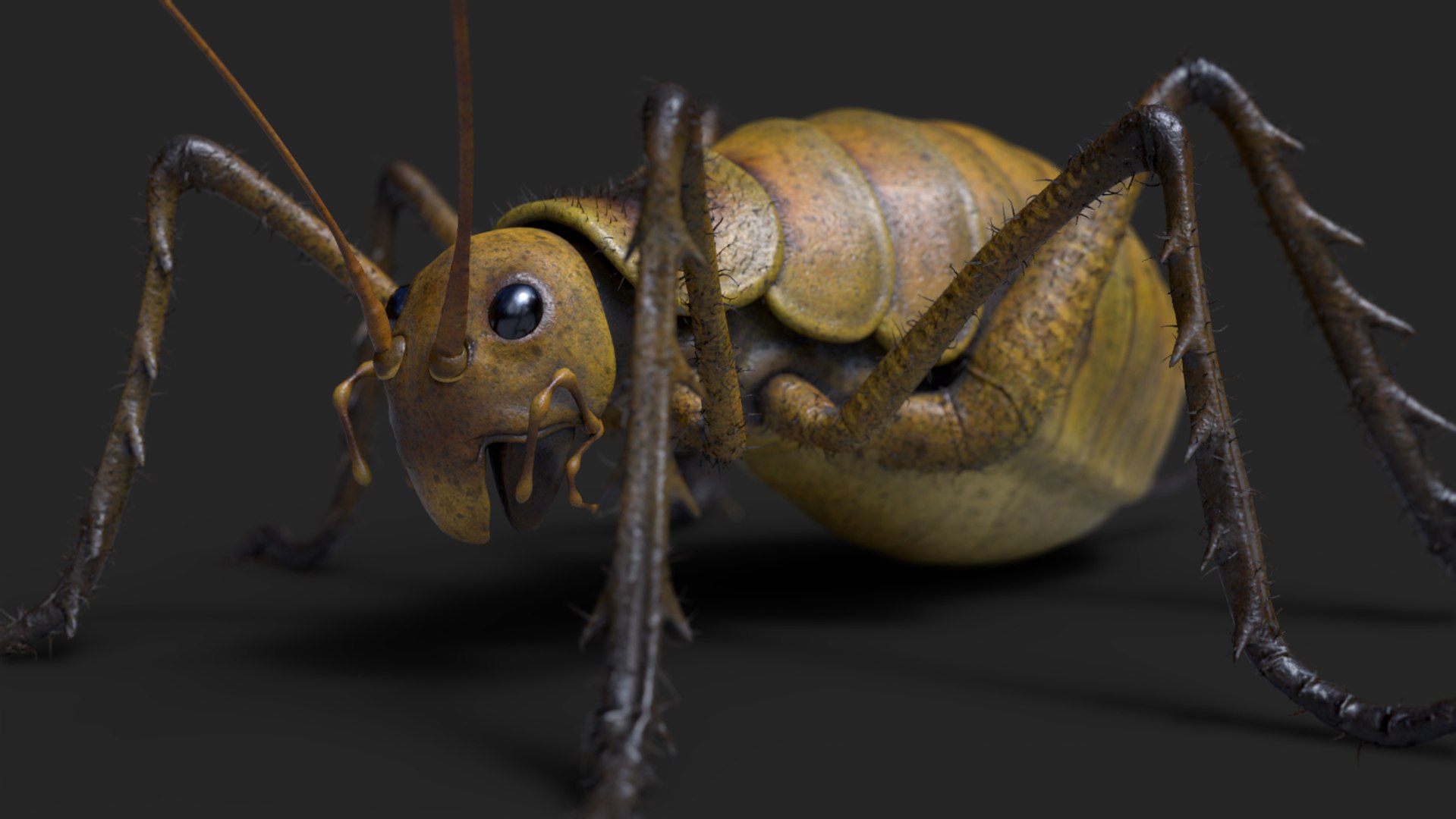Wetapunga giant weta cricket 3D model - TurboSquid 1270188