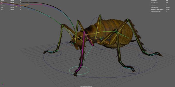 modelo 3d Wetapunga - grillo weta gigante - TurboSquid 1270188