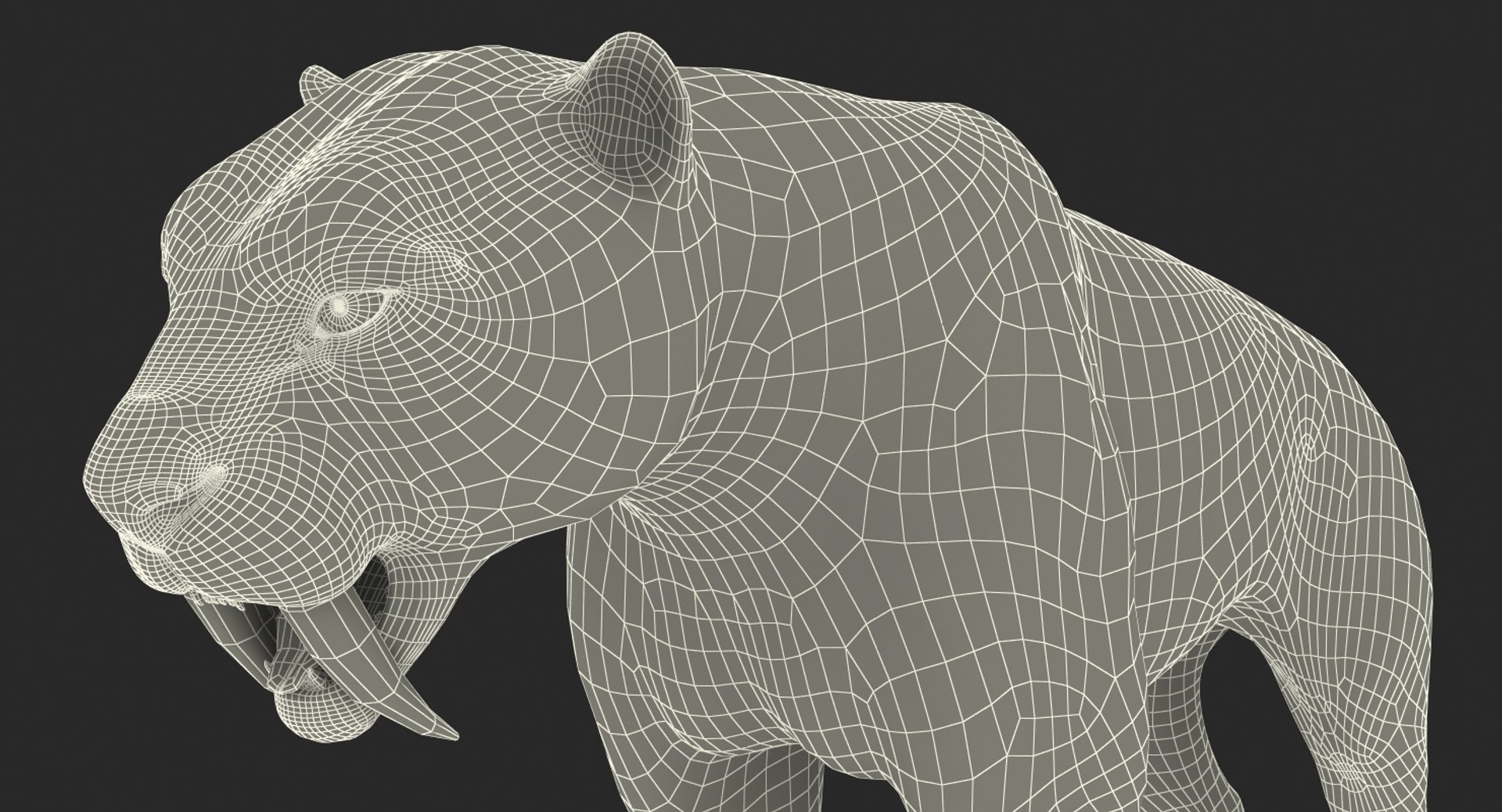 Saber Tooth Tiger Fur 3D - TurboSquid 1328503