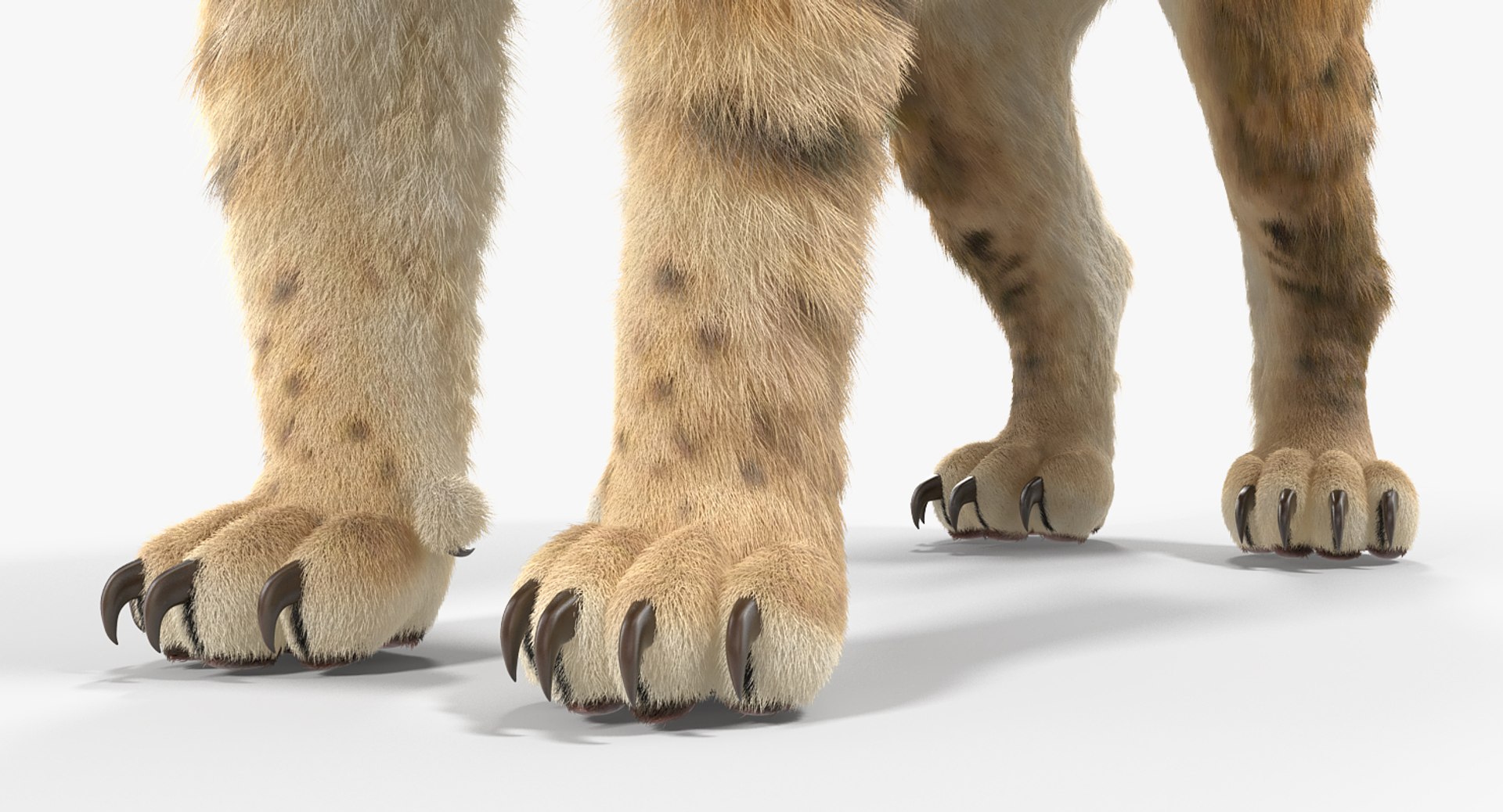 Saber Tooth Tiger Fur 3D - TurboSquid 1328503