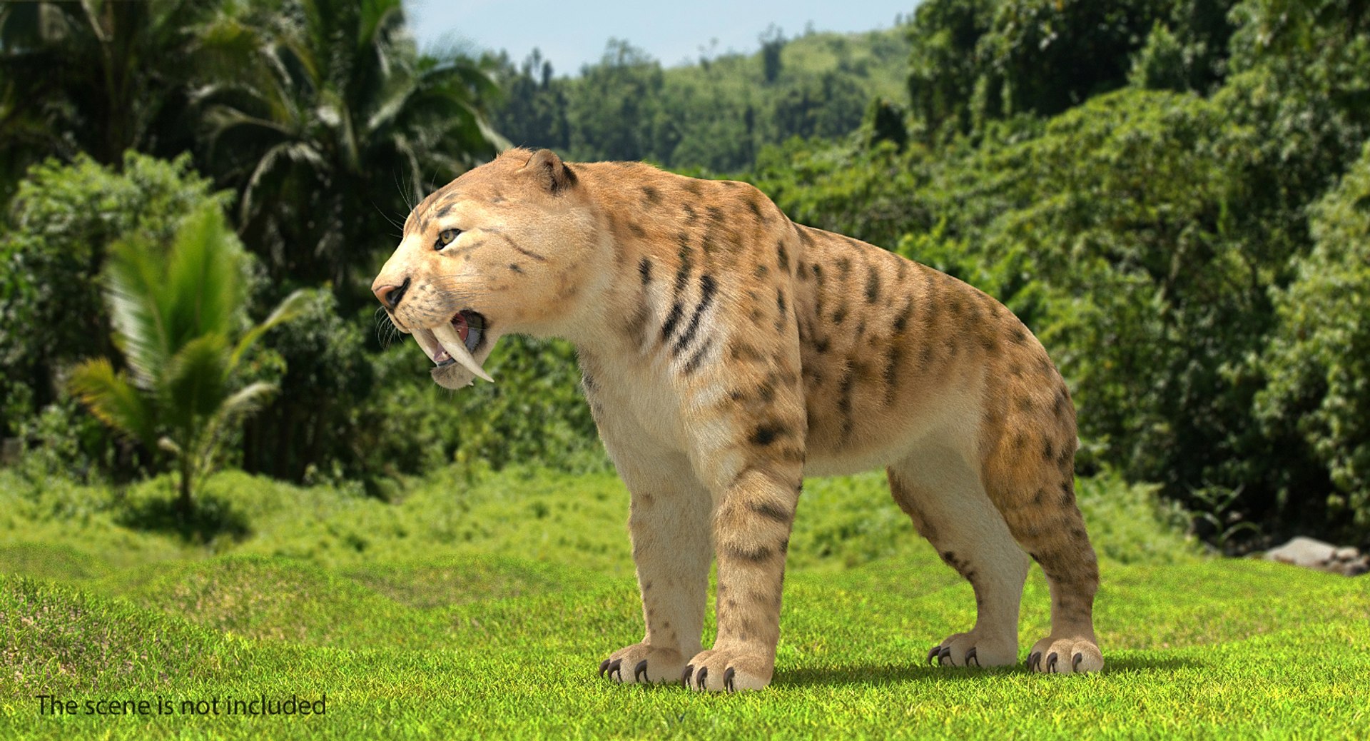 Saber Tooth Tiger Evolution