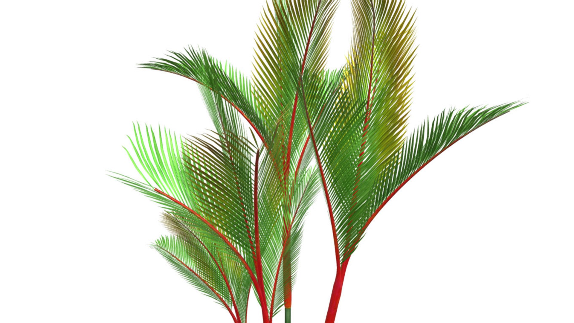 3D Model Plam Tree - TurboSquid 2229349