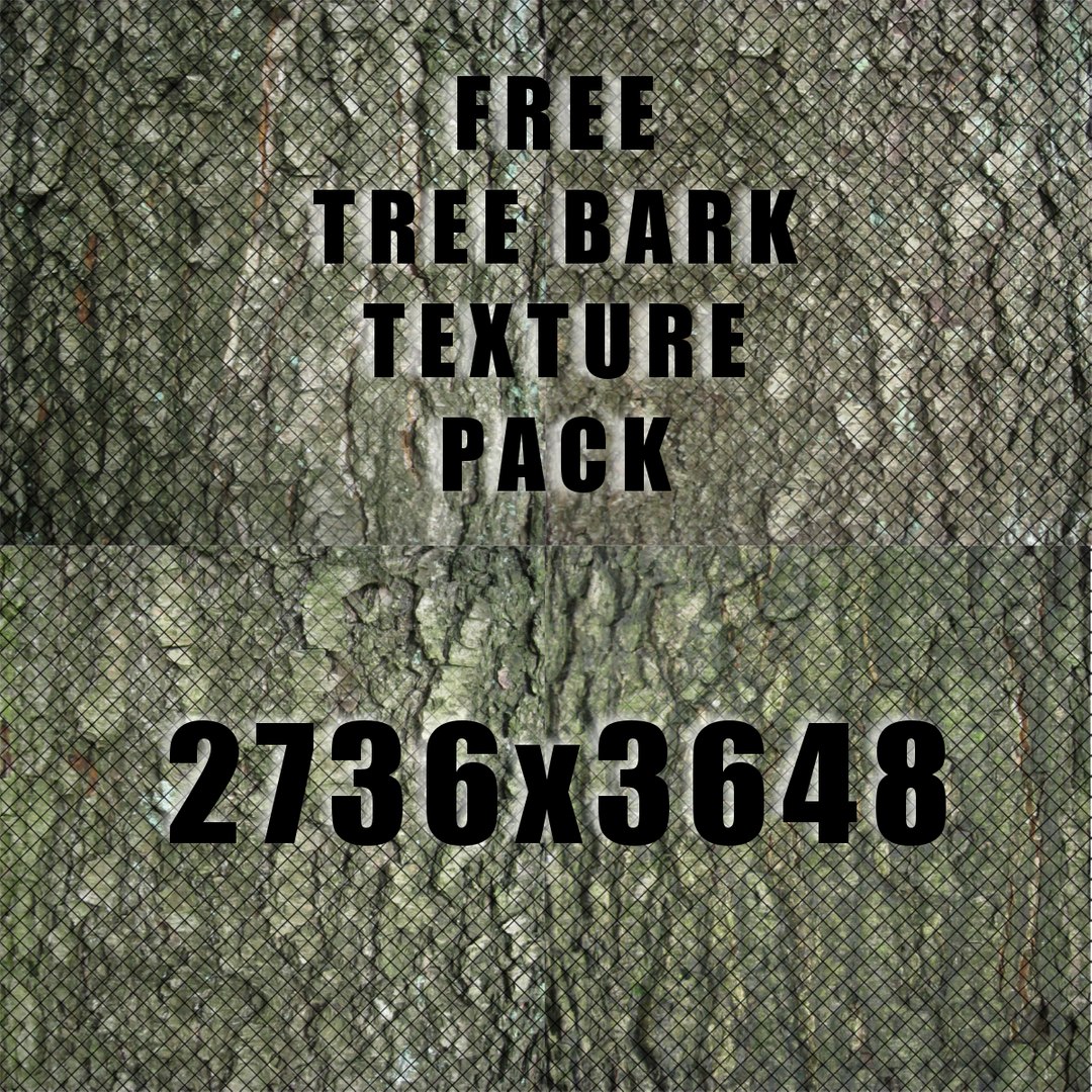 3d Tree Bark Model