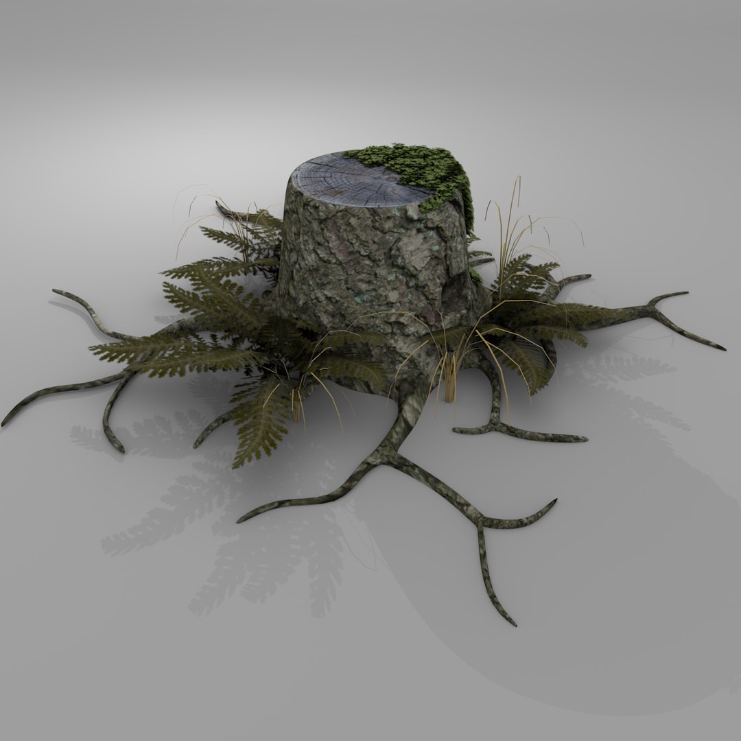 3d Tree Bark Model