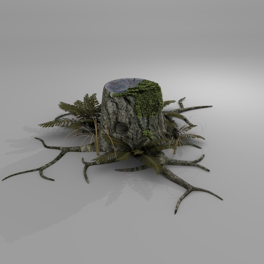 3d Tree Bark Model