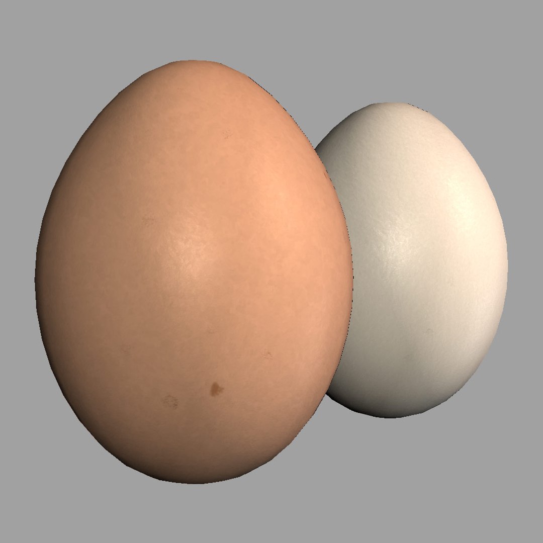 3d model eggs