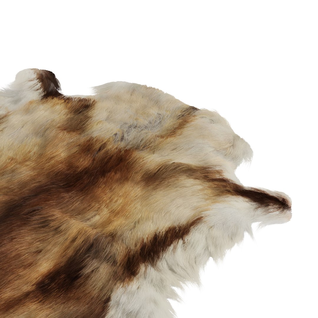Wool furry reindeer skin 3D model - TurboSquid 1659143