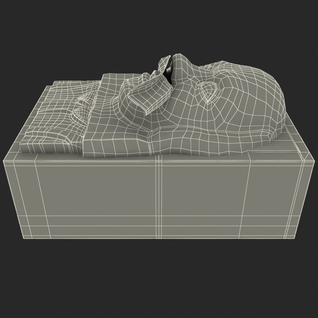 3d Shakespeare Tissue Box