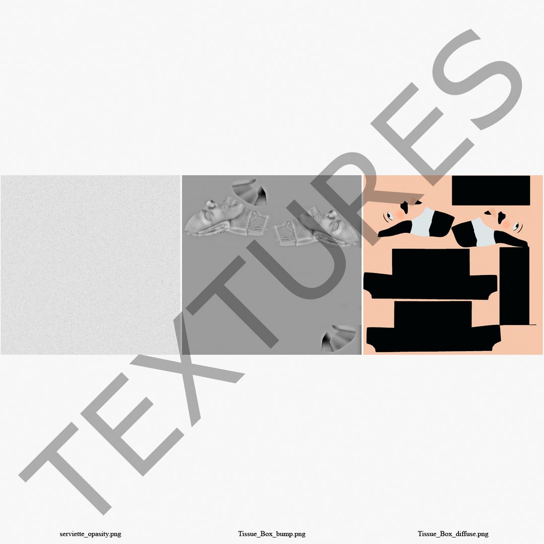 3d Shakespeare Tissue Box