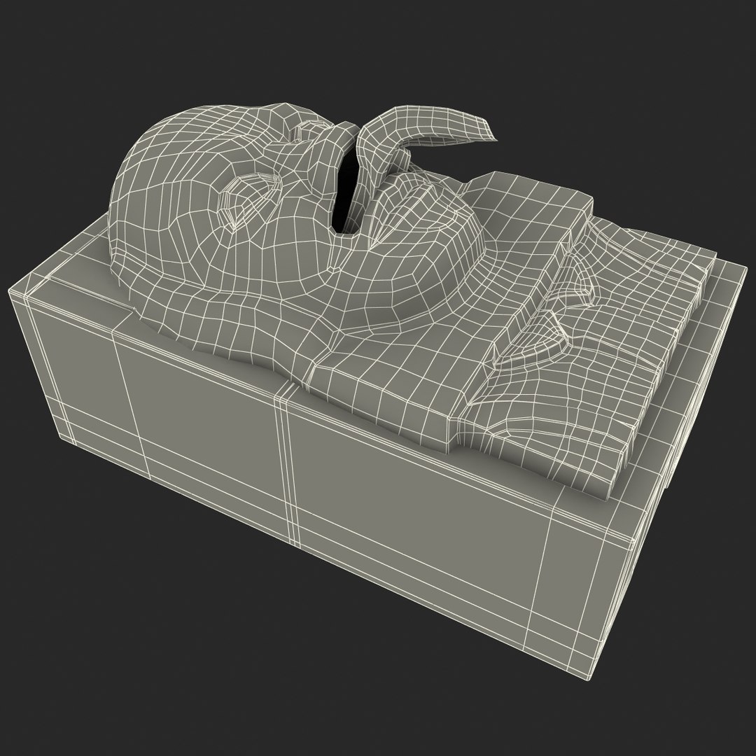 3d Shakespeare Tissue Box