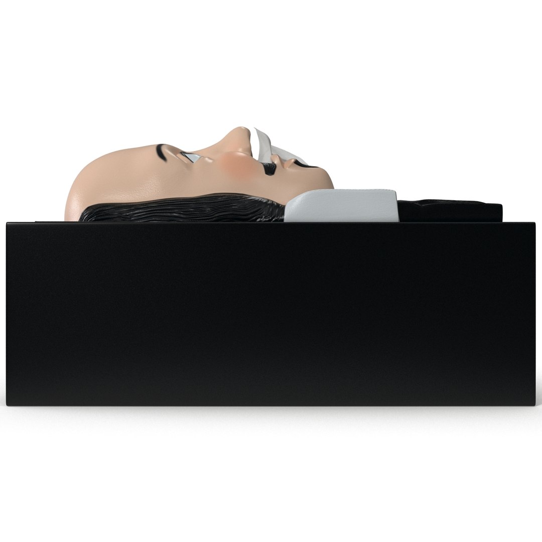 3d Shakespeare Tissue Box