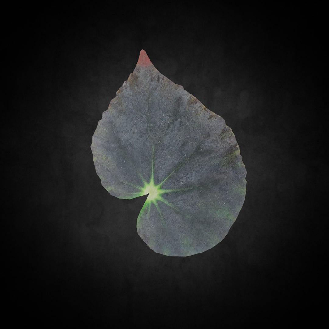 3D Low Poly Leaf 089 - TurboSquid 1852562