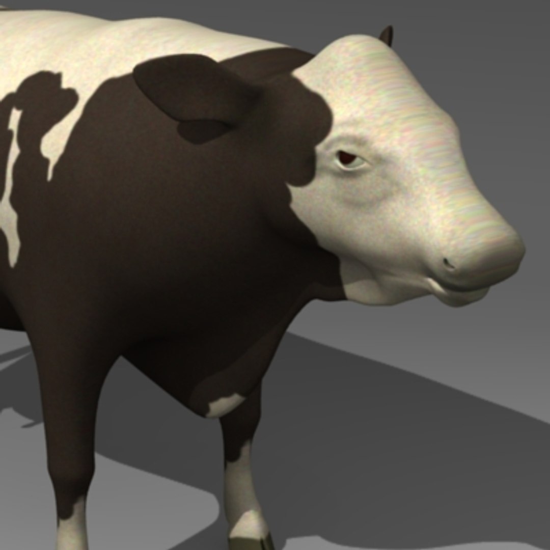 Bull Cow 3d Model